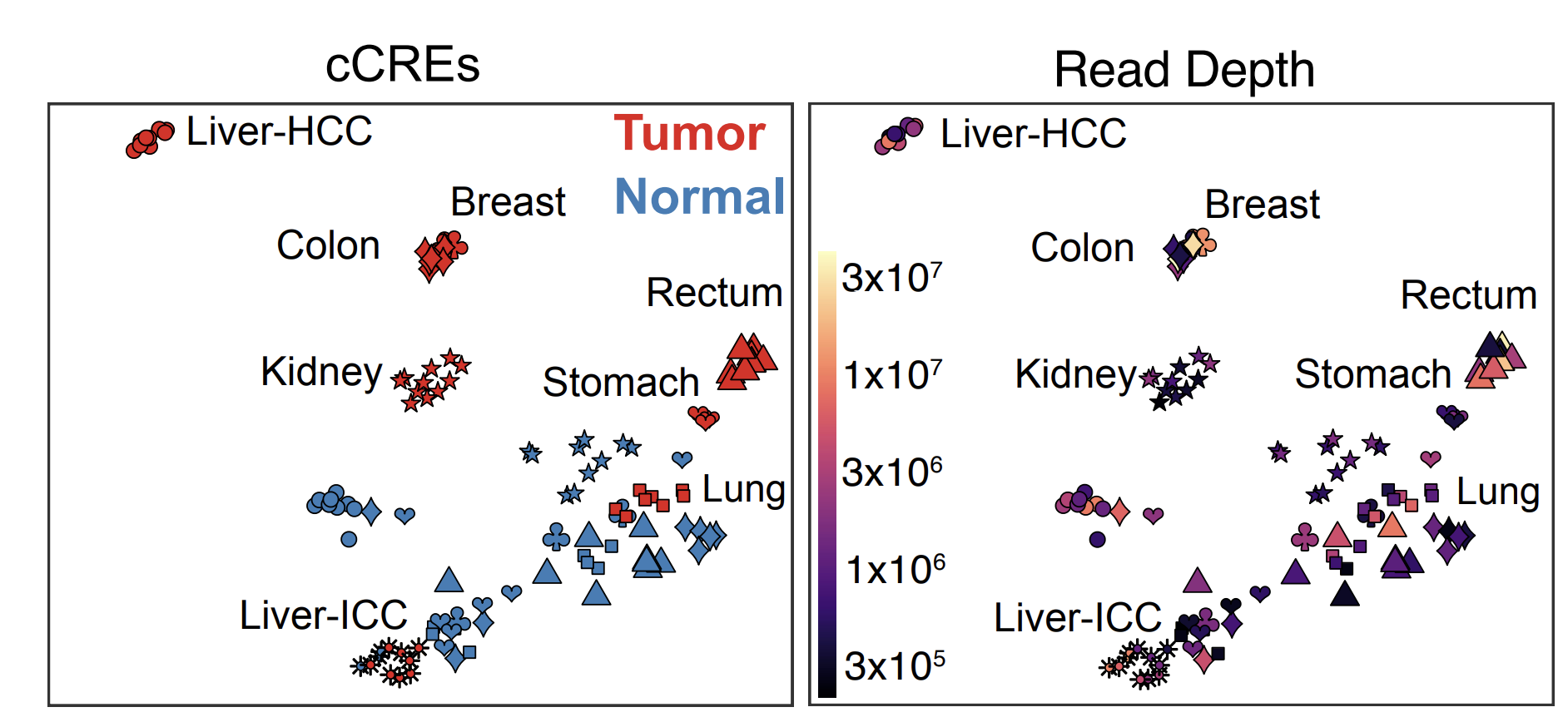 Epigenomic Profiling on FFPE Samples and Cancer Studies | Compbio ...