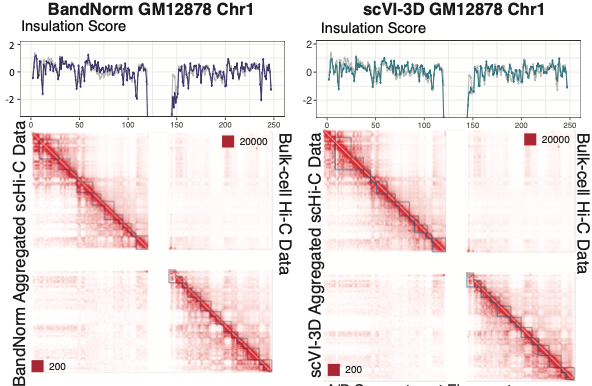 Statistical Methods Development for 3D Genomics Data Analysis | Compbio Wizard Lab